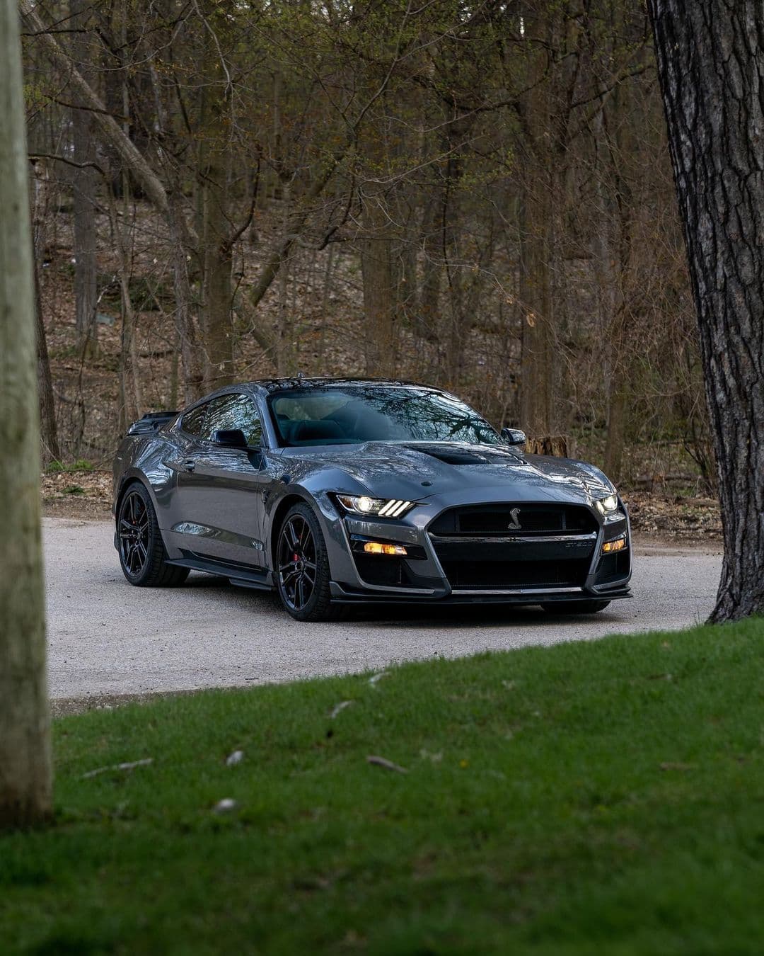 Mint Auto - Sales, ceramic coatings and detailing in Cambridge